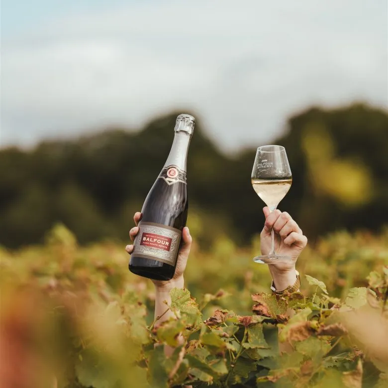 Shop | English Wine & More | Balfour Winery, Kent