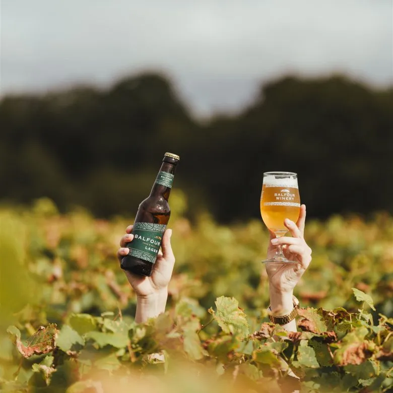 Shop | English Wine & More | Balfour Winery, Kent